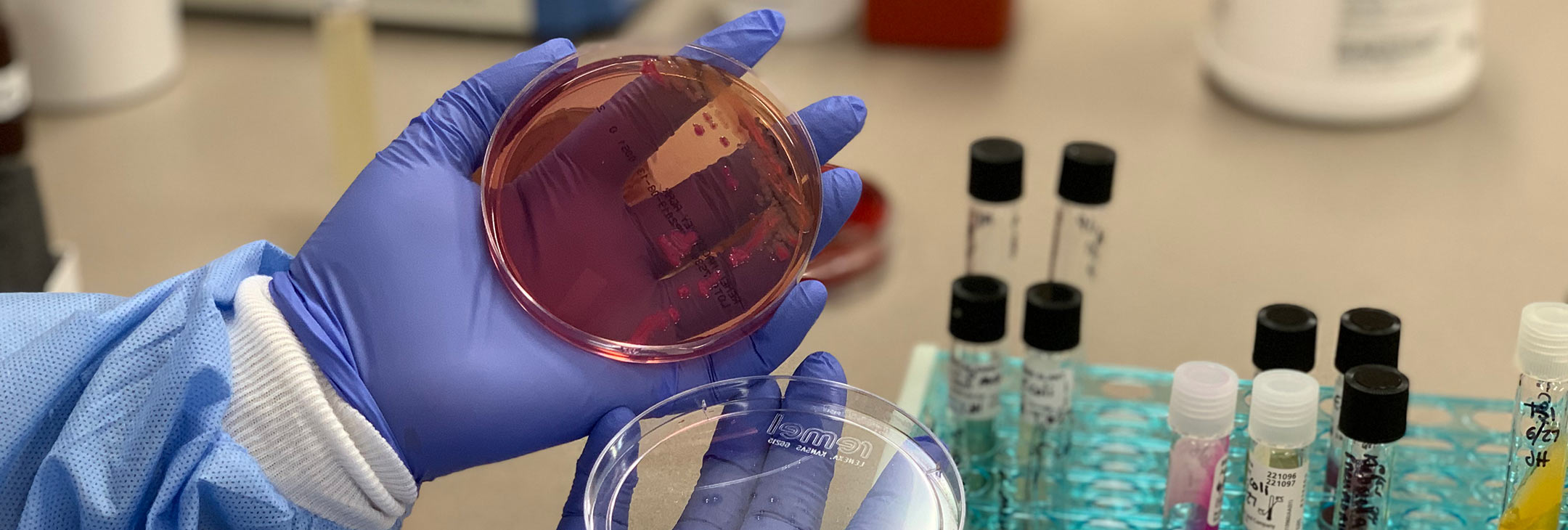 Medical Laboratory Technology, AAS - Flathead Valley Community College