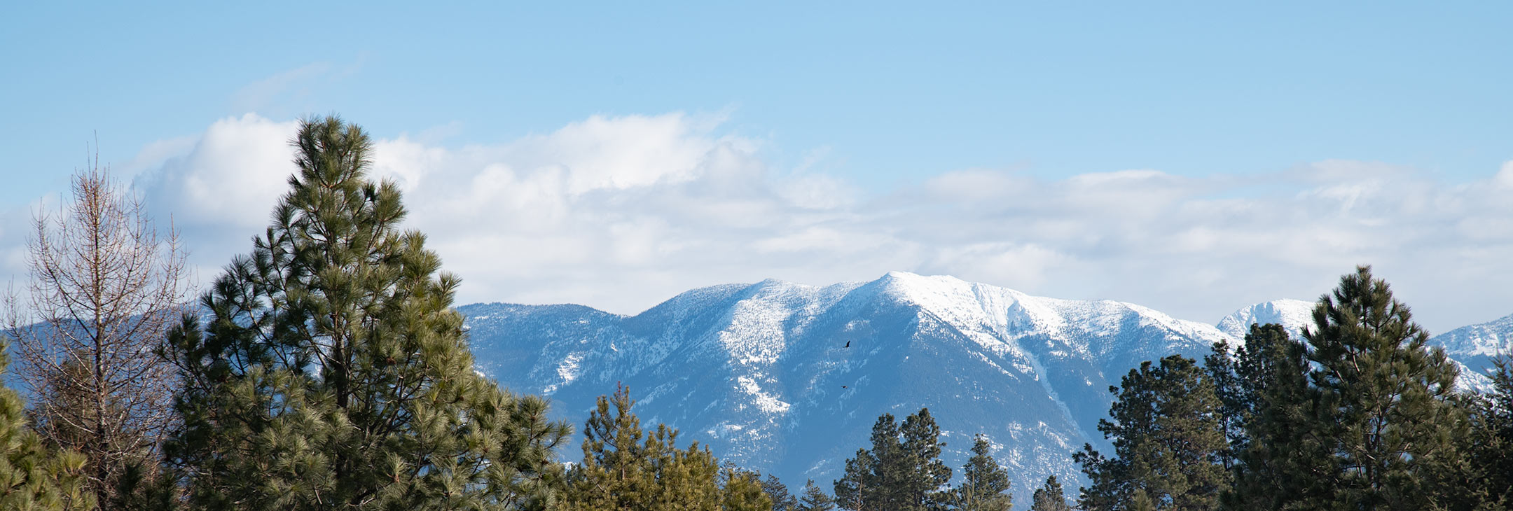 Honors Program - Flathead Valley Community College