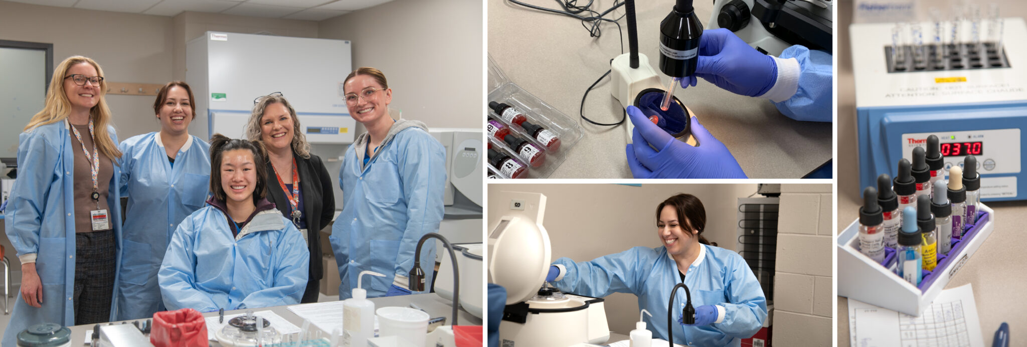 Medical Laboratory Technology AAS Degree Program | FVCC