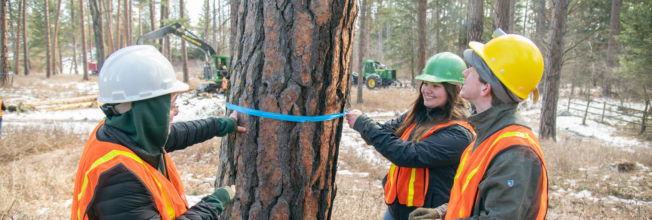Forestry Transfer Track | FVCC